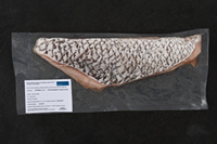 Rassau Seafood GmbH - Unser Erfolgsrezept seit über 35 Jahren